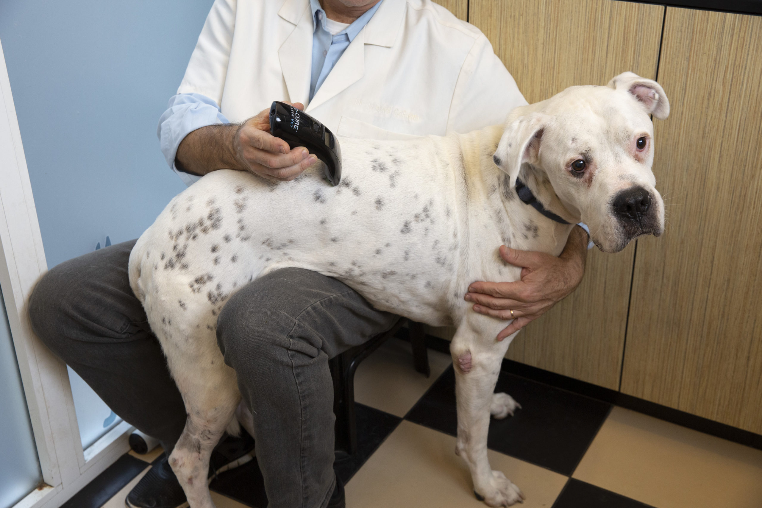Laser-Focused on Relief: Can Laser Therapy Be an Effective Treatment ...